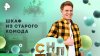 РЕН ТВ Шкаф из старого комода — Самая народная программа