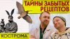 Телеканал КЛЮЧ_ВАЛЬДШНЕП В ШАМПАНСКОМ: ищем дичь в лесах Кос