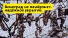 САД, ОГОРОД,СВОИМИ РУКАМИ_Лучший способ укрытия винограда на