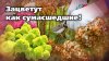 САД БЕЗ СЕКРЕТОВ_Как готовить гортензию к зиме. Обрезка и ух