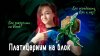 Belka_Plants 🍀_ПЛАТИЦЕРИУМ на деревянном БЛОКЕ: пошаговый м