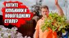 сад огород цветник_Сентябрь крайний срок для высадки земляни