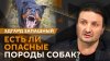 Эдгард Запашный. Опасные породы собак, пет-френдли отели, по