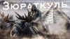 Территория Приключений_По болотам Южного Урала: поход в пар