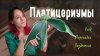 Belka_Plants 🍀_УХОД за ПЛАТИЦЕРИУМАМИ: деление, посадка, по