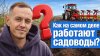Большая грядка_Полили саженцы и продисковали почву: как прох