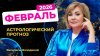 Василиса Володина_Февраль 2026