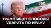 Трамп попросил дать ему варианты «быстрых и решительных» уда