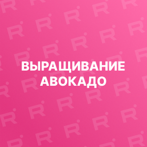 https://pic.rutubelist.ru/promoitem/36/8c/368cbf37dd64637c4cd62cb4f1b83db4.jpg