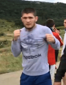 UFC 229