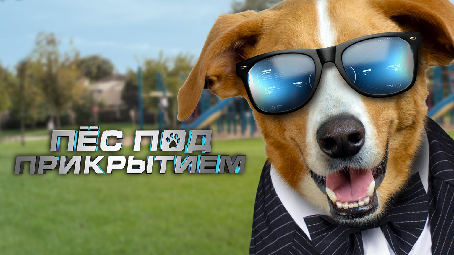 Веста_Пес под прикрытием