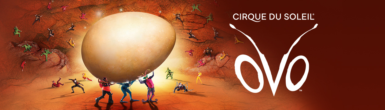 OVO by Cirque du Soleil