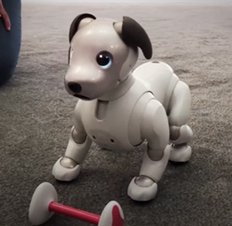 CES 2018