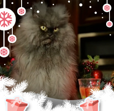 Новогодние животные