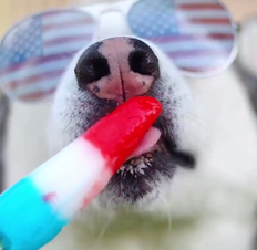 У тебя в запасе месяц