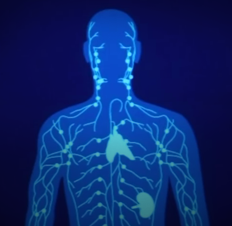 Нобелевская премия 2018