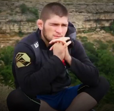 UFC 229