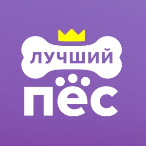 Иконка канала Лучший пёс | PREMIER