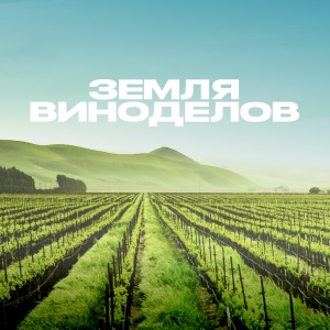 Иконка канала Земля виноделов | PREMIER