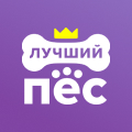 Иконка канала Лучший пёс