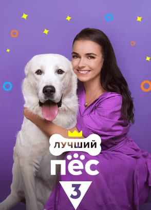 Лучший пёс