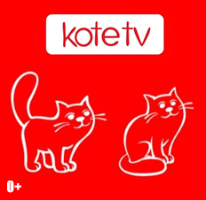 КотеТВ