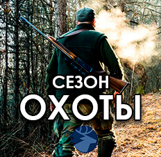 Сезон охоты
