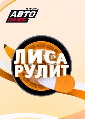 Лиса рулит