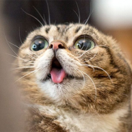 Иконка канала Солянка