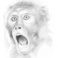 Иконка канала Ты мог этого не знать