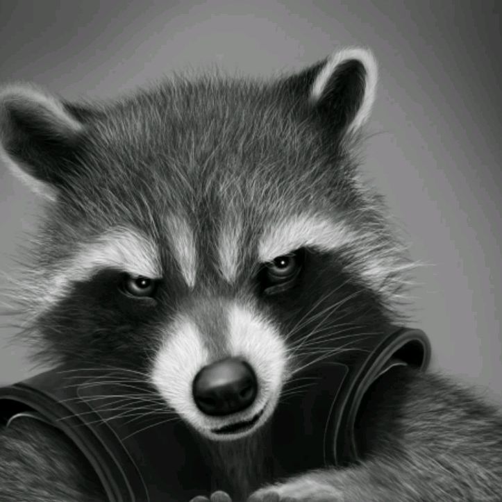 Иконка канала Енот