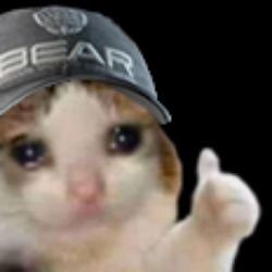 Иконка канала Meowhiskas