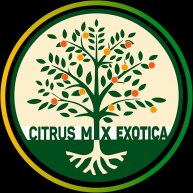 Иконка канала Цитрус Микс Экзотик