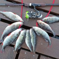 Иконка канала Сергей Страшнов