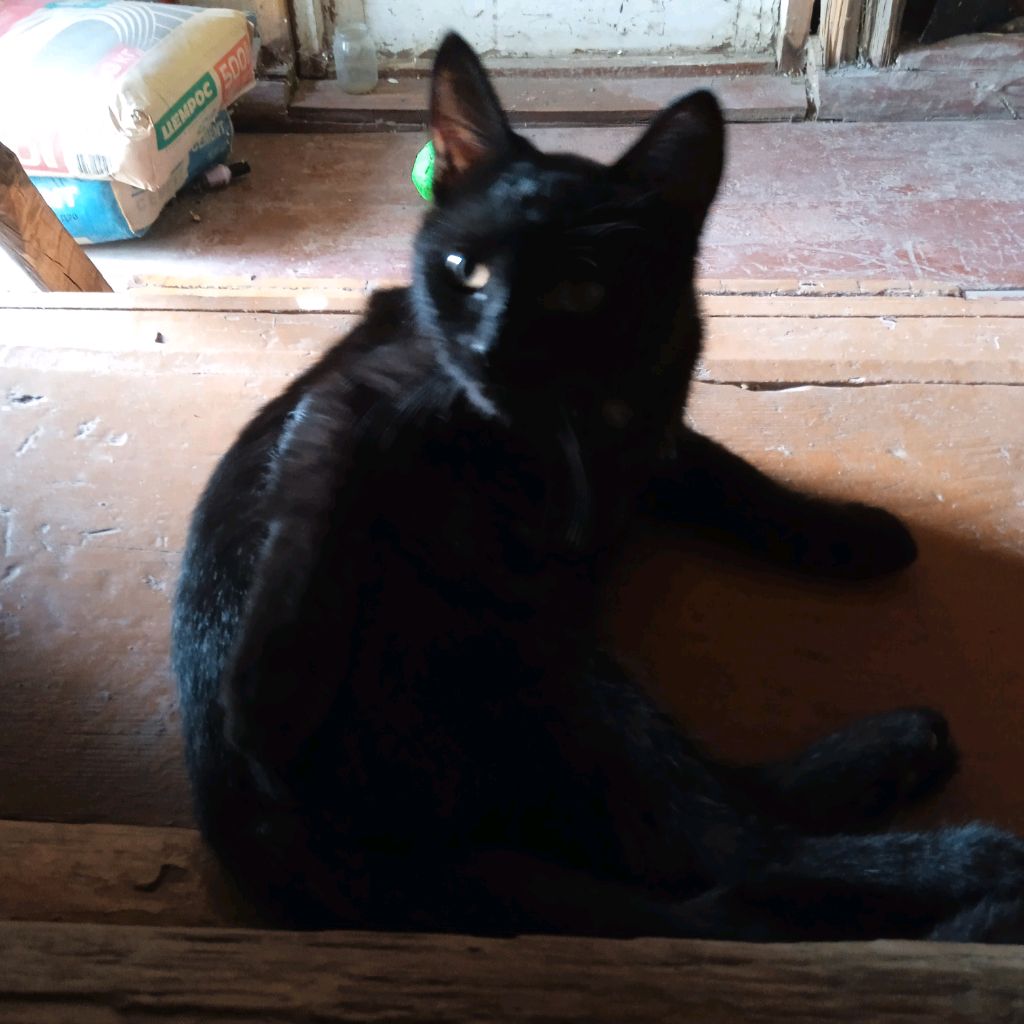 Иконка канала Timofey26