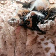 Иконка канала Hakleuka