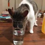 Иконка канала Mkote _мультиметры и около_