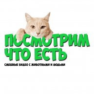 Иконка канала Посмотрим что есть. My darling | ART