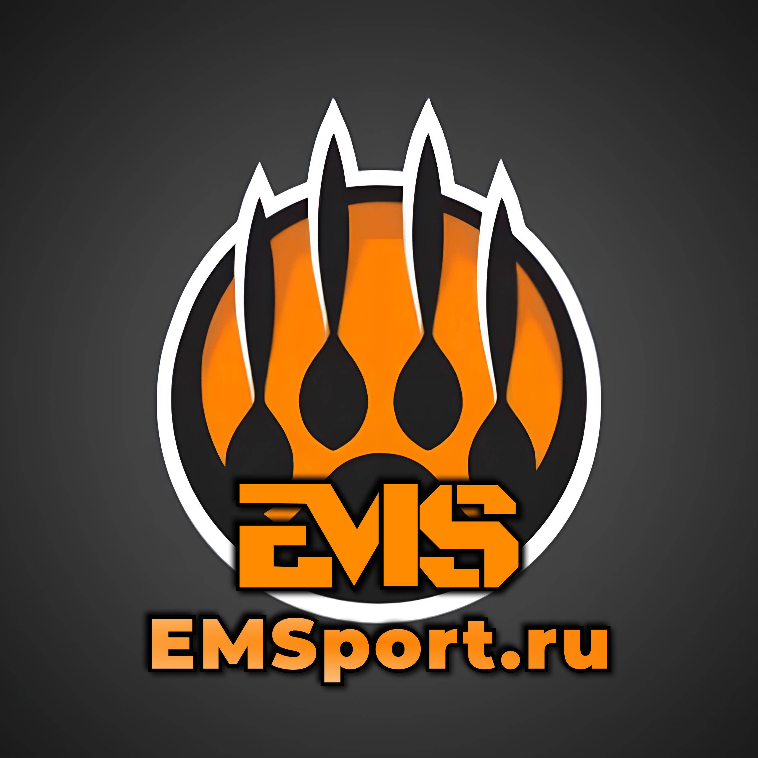 Иконка канала EMSport.ru — Фитнес в удовольствие!