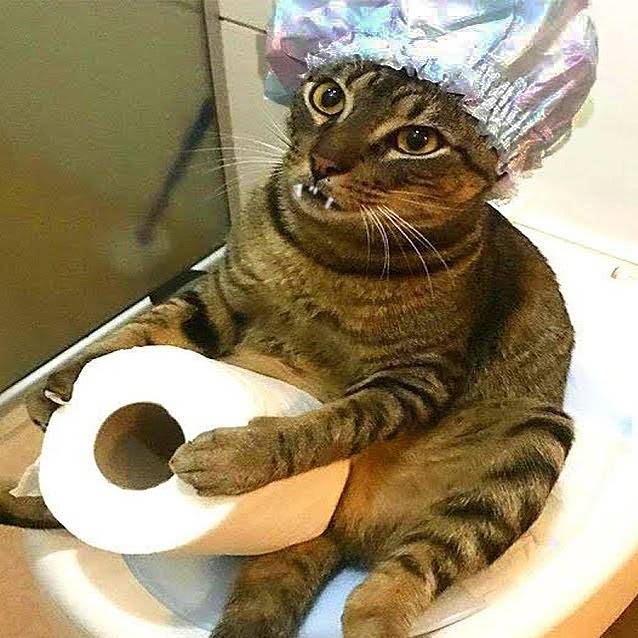 Иконка канала Fisher'o'fisH