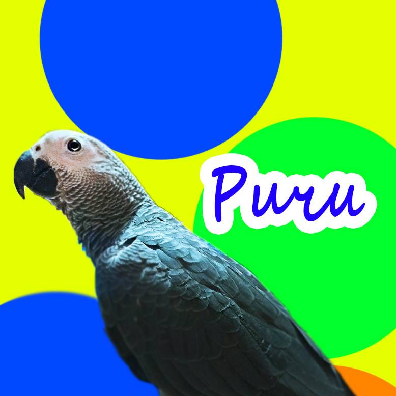 Иконка канала Ричка-птичка