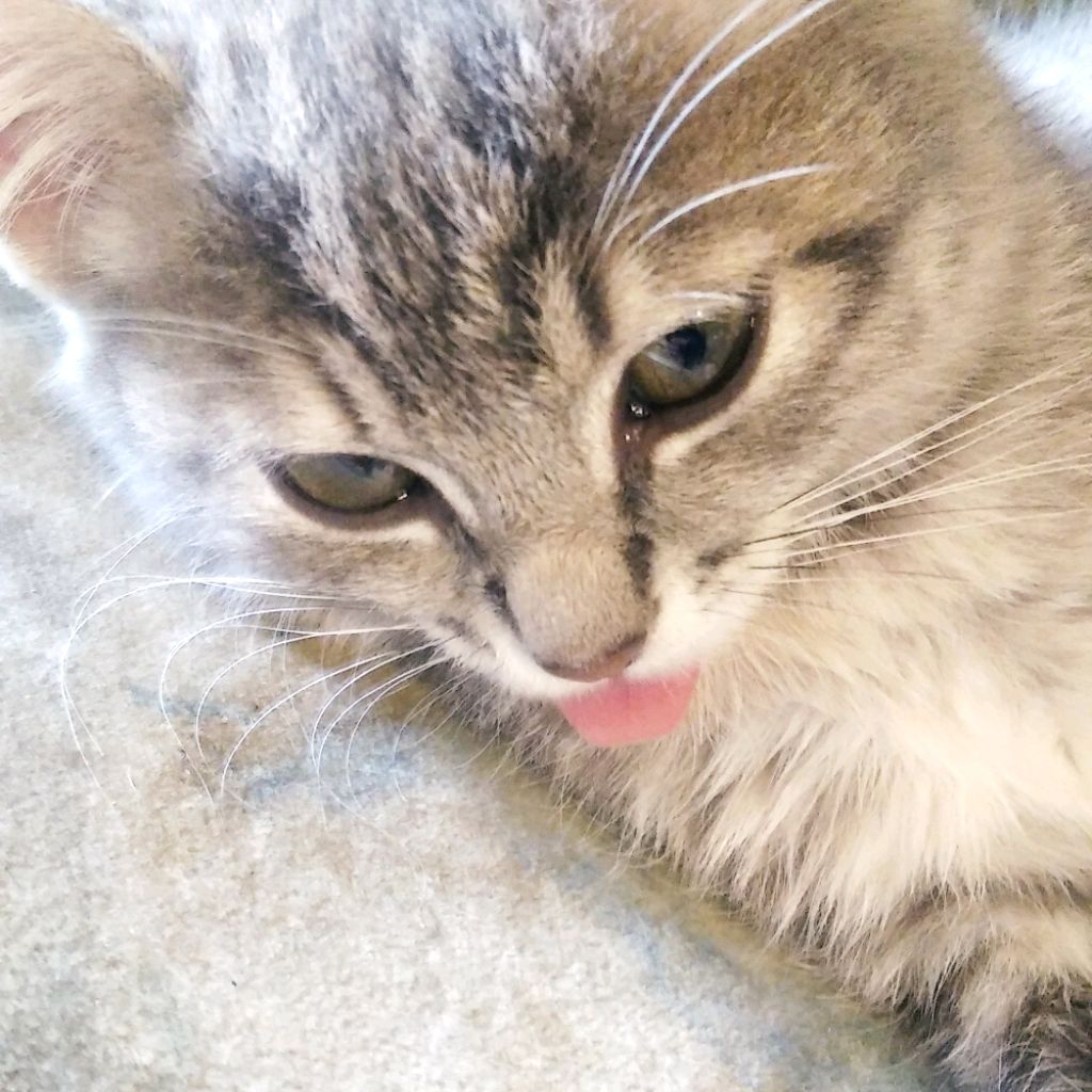 Иконка канала Олег Романов