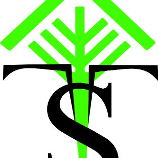 Иконка канала Timber Solutions