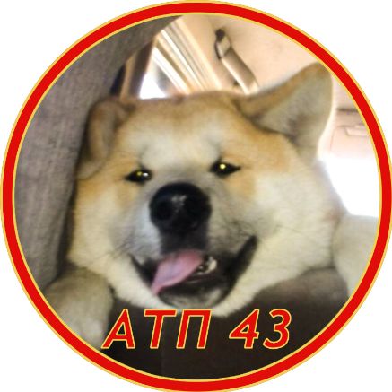 Иконка канала АТП 43