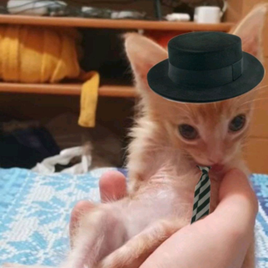 Иконка канала Kronaks So2