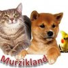 Иконка канала Murzikland