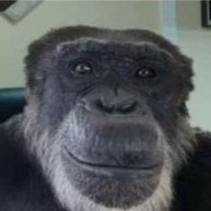 Иконка канала m0nkich