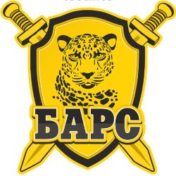 Иконка канала ЧОП "Барс"