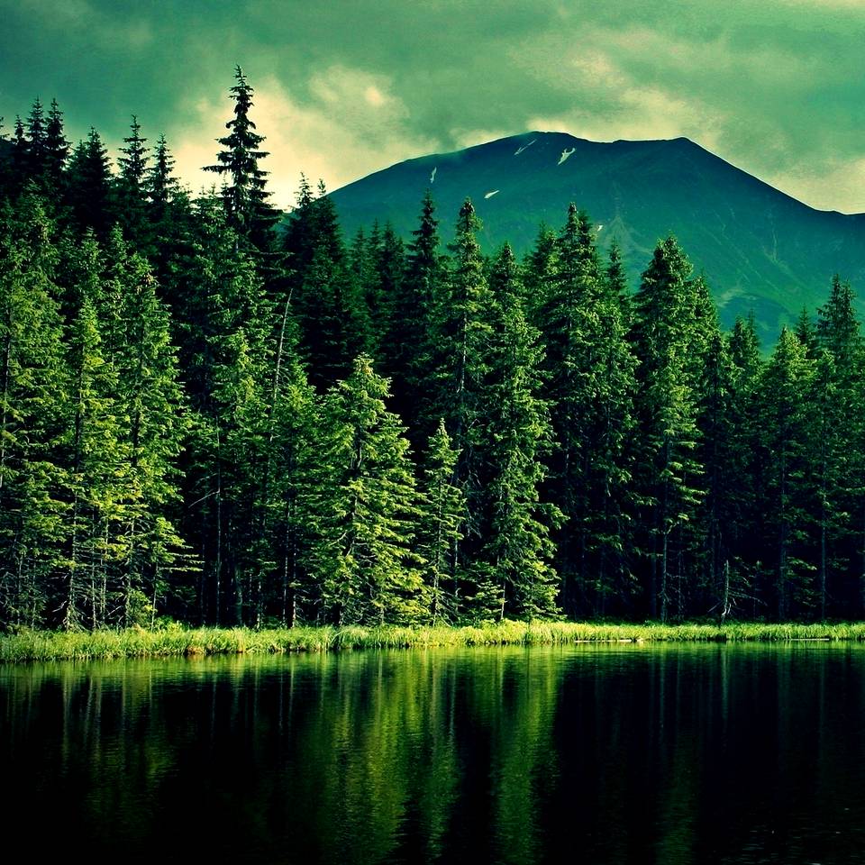 Иконка канала Андрей Владимиров