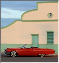 Иконка канала mutleybird